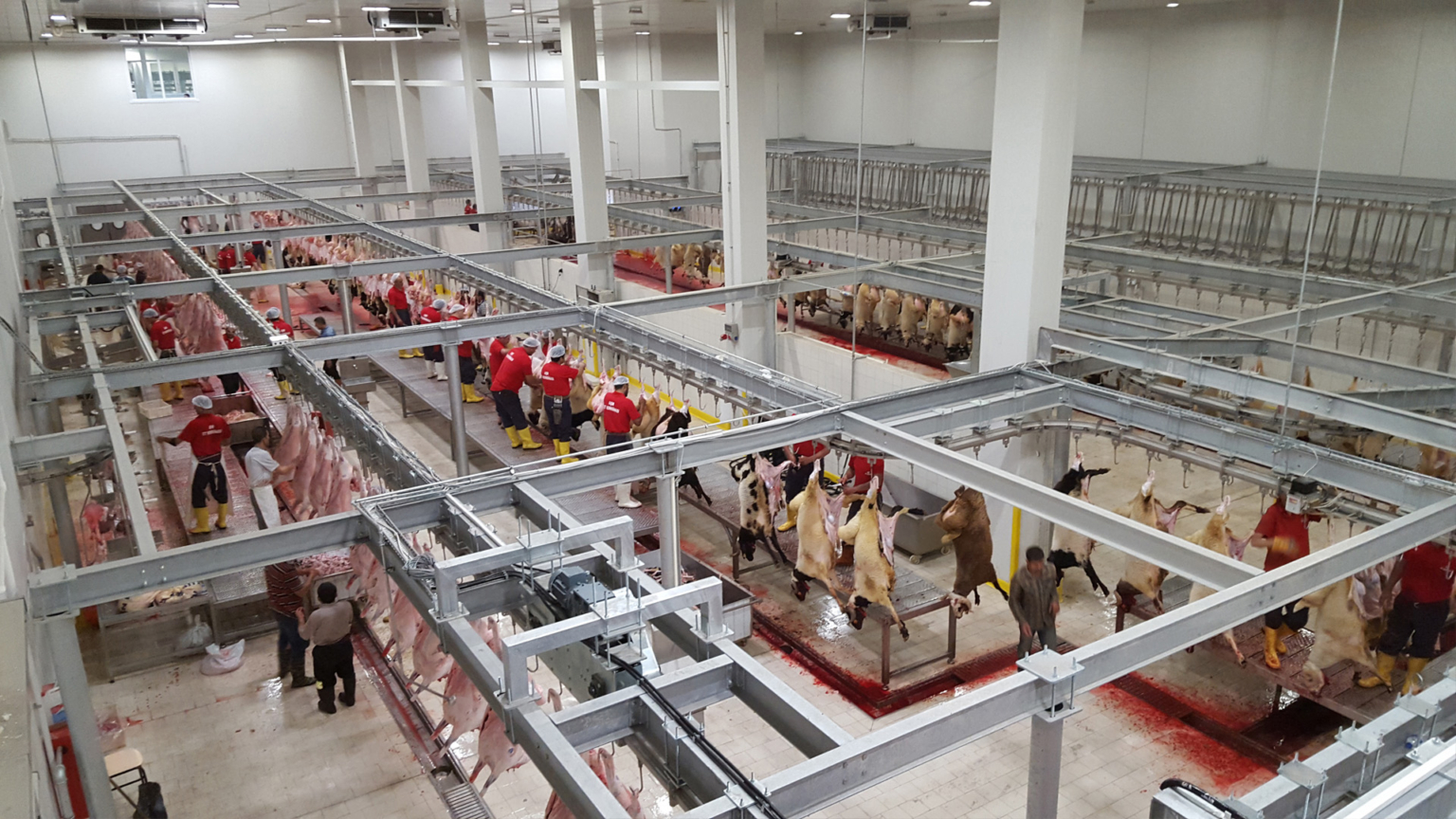 Key Factors to Consider in Abattoir Design for Optimal Efficiency ...